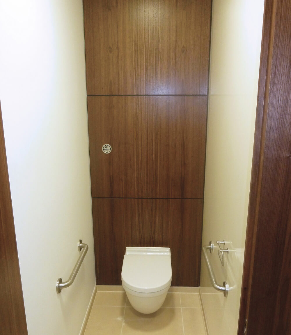 Portfolio - Howick Place, London